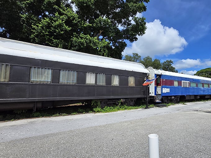 These authentic railroad cars stand as a colorful reminder of when the circus rolled into town, bringing wonder and excitement to communities across America.