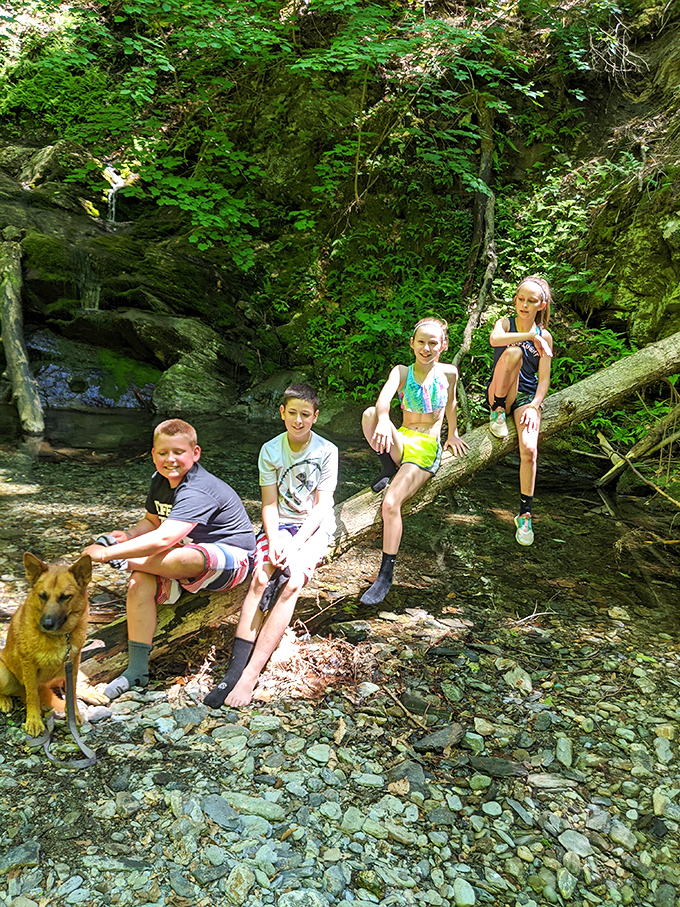 Young explorers and their canine companion discover the joy of Vermont's natural playground – creating memories that will outlast any video game.