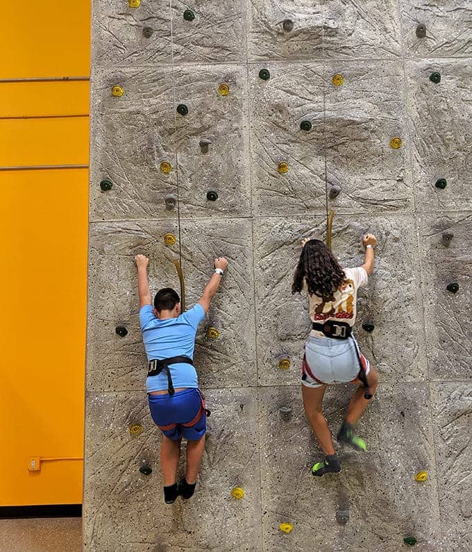 Vertical challenges await on this climbing wall, where upper body strength meets determination&mdash;and everyone looks equally ungraceful trying to find that next foothold.