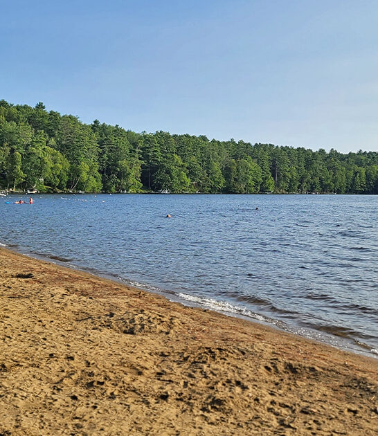 19 acre park maine ftr