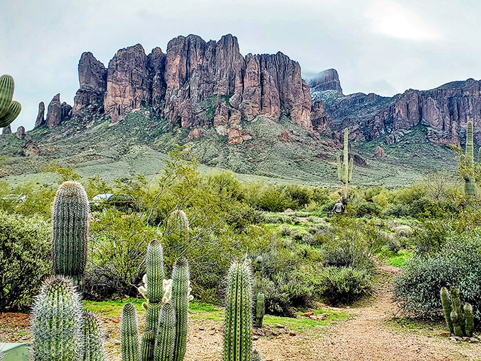 The Superstition Mountains rise majestically from the desert floor, their rugged peaks catching the light like nature's own cathedral.