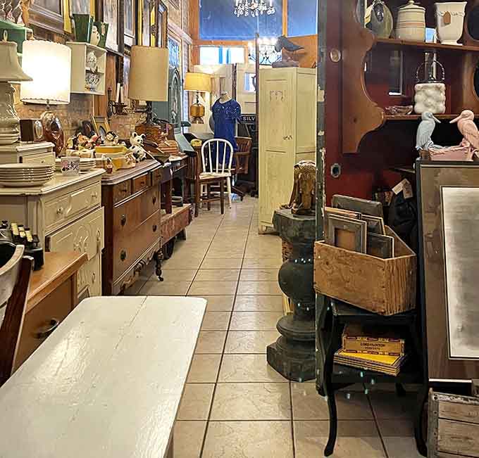 Navigate this narrow wonderland where every inch tells a story. The brick walls have heard thousands of "What IS that?" exclamations.