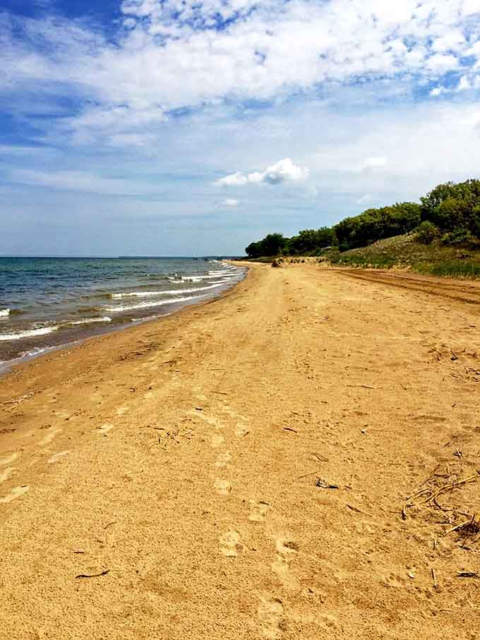 Golden sands meet crystal-clear waters at Sleeper State Park's beach – nature's perfect playground where Lake Huron whispers to the shore.