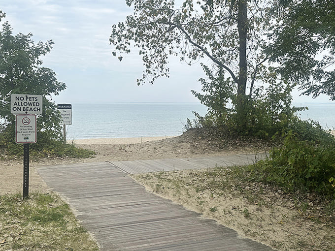 The wooden boardwalk creates a perfect runway to Lake Huron's refreshing waters, with nature providing the ultimate backdrop for your beach day.