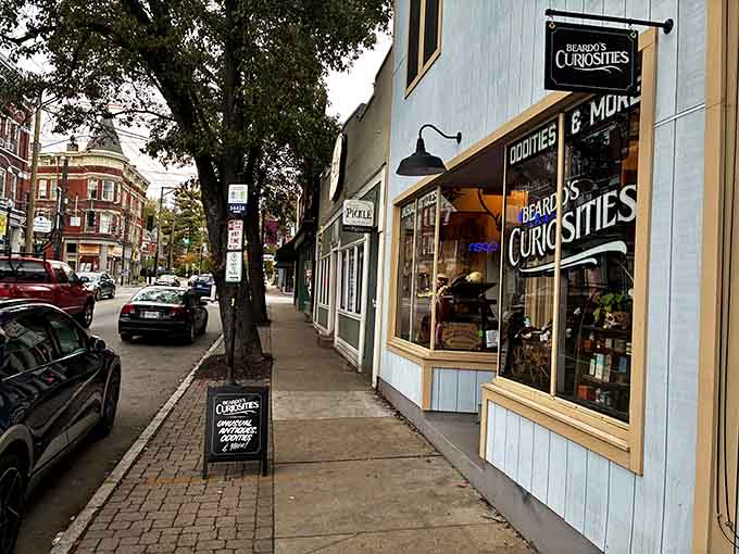 "Oddities & More" isn't just a tagline&mdash;it's a solemn promise. The entrance to Beardo's invites the brave and curious to step into a world where conventional shopping rules don't apply.