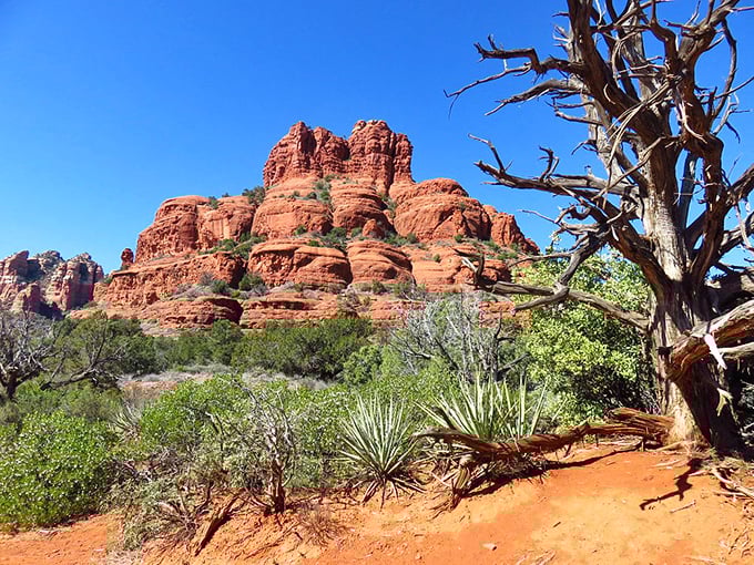 Bell Rock stands sentinel over the desert, its layered formation resembling a cosmic layer cake that's been baking for millions of years.