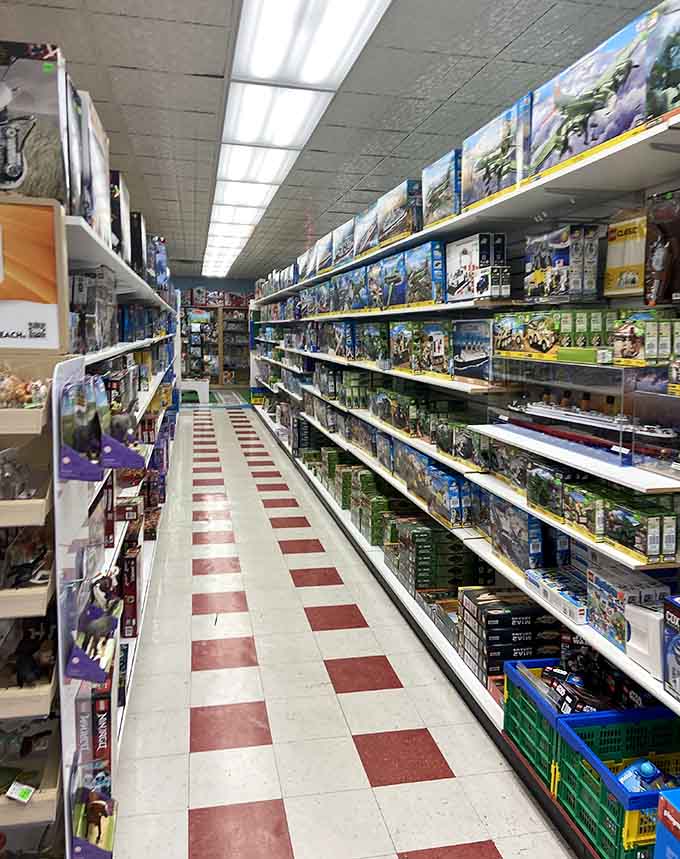 Those classic checkered floors guide you through aisles of dreams, where every shelf holds potential for your next great project.