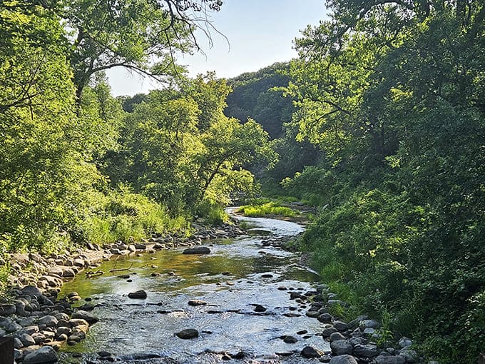The Redwood River meanders through like it's got all the time in the world, and honestly, that's the energy we should all embrace.