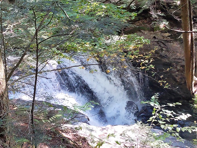 Hidden among Vermont's lush forests, this waterfall creates a symphony of sound and motion that mesmerizes every visitor.