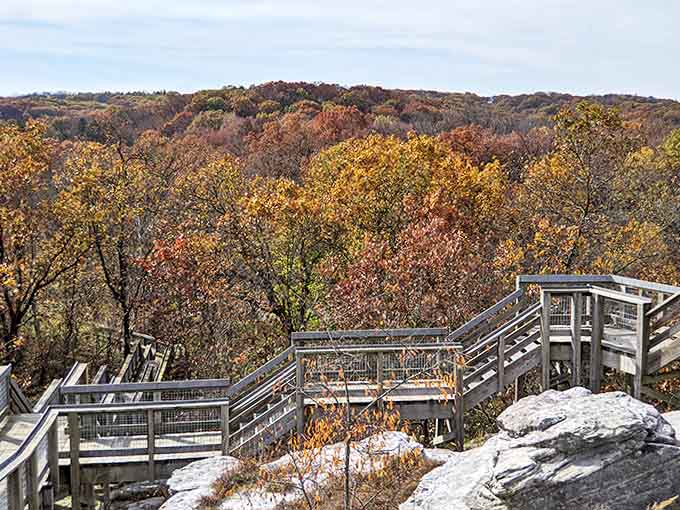 These wooden stairs climbing through autumn foliage lead to overlooks that reward every step with increasingly spectacular views of the river valley below.