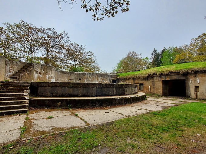 These crumbling concrete ruins tell stories of wartime vigilance, now standing silent as nature slowly reclaims what humans once built.