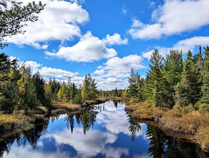 Mirror-perfect reflections double the beauty in this serene waterway, where the boundary between reality and reflection becomes delightfully blurred.