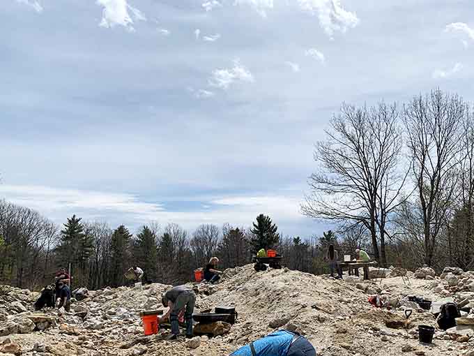 This is what geological dreams are made of: piles of earth waiting to reveal their secrets under the open sky and watchful trees.
