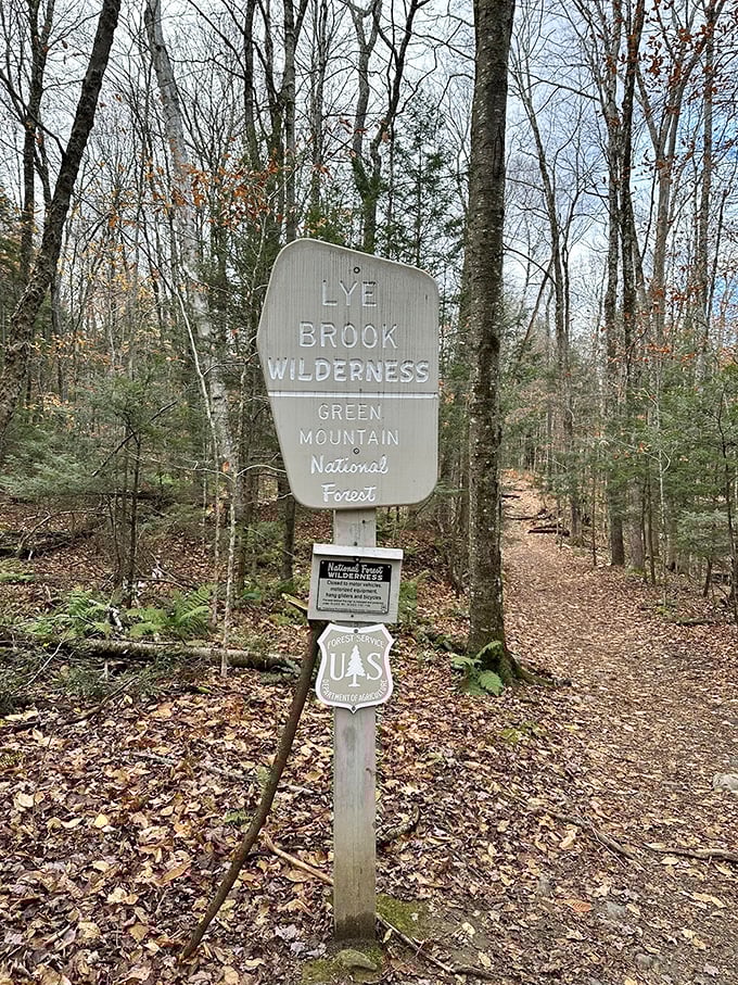 The unassuming entrance to Lye Brook Wilderness belies the natural wonders waiting beyond. Mother Nature's best poker face.