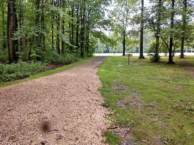 This winding gravel path whispers promises of adventure, leading visitors through a woodland symphony of rustling leaves and dappled sunlight.