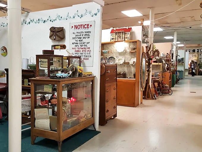 Wander through aisles where every turn reveals another decade's worth of memories waiting to be rediscovered.