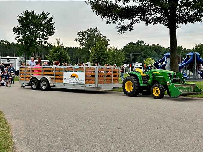 Hayrides: Nothing says "wholesome family fun" like bouncing on hay bales while waving at strangers who instantly become friends.