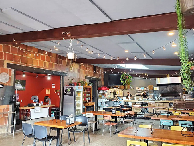 Inside Folino's, rustic meets modern with exposed brick, hanging plants, and string lights creating the perfect backdrop for serious pizza enjoyment.