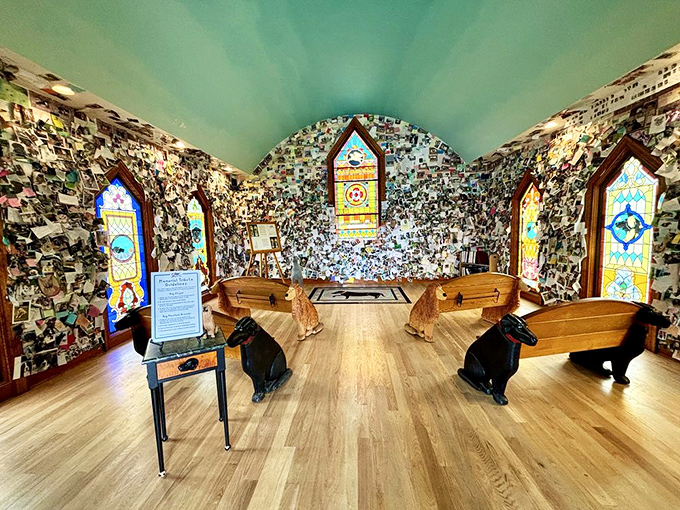 Inside the chapel, thousands of heartfelt tributes cover every inch of wall space, creating a tapestry of memories that speaks to anyone who's ever loved a dog.