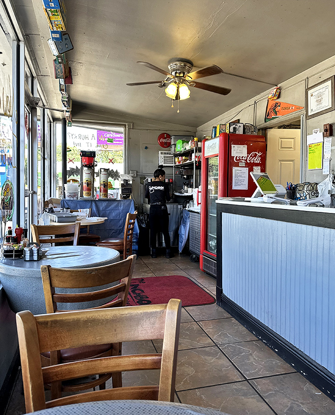 Step inside and feel the cozy diner vibes wash over you. The compact interior somehow manages to feel both snug and welcoming.