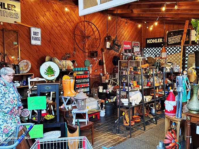 Every aisle tells a different story, with wooden-paneled walls creating the perfect backdrop for this collector's paradise.