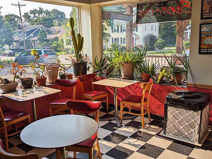 Sunlight streams through plant-lined windows, turning this corner nook into the coziest spot in Athens for plotting your next pastry conquest.