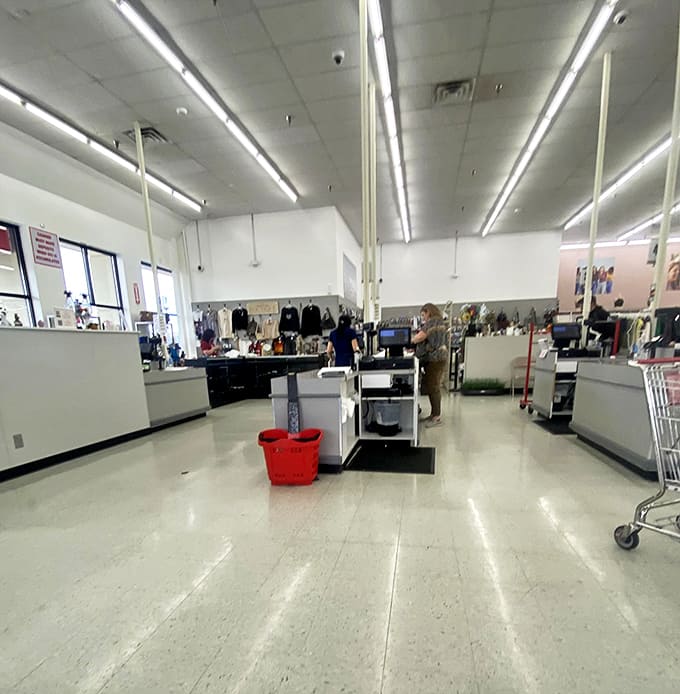 Fluorescent lights illuminate the organized chaos of possibility. It's like walking into a department store where every item has a secret history.