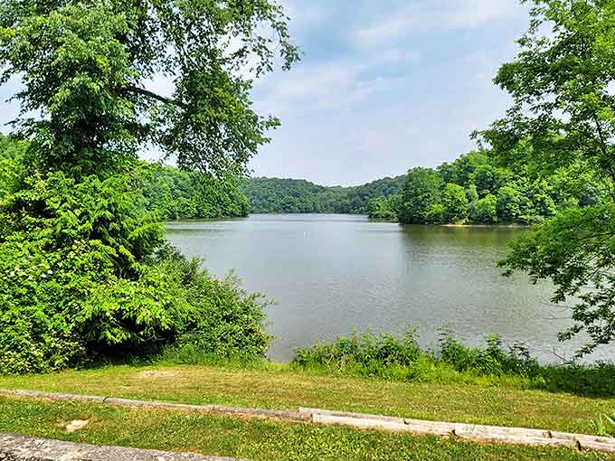 Mother Nature showing off with a view so gorgeous it makes your vacation selfies look like they need serious filter help.