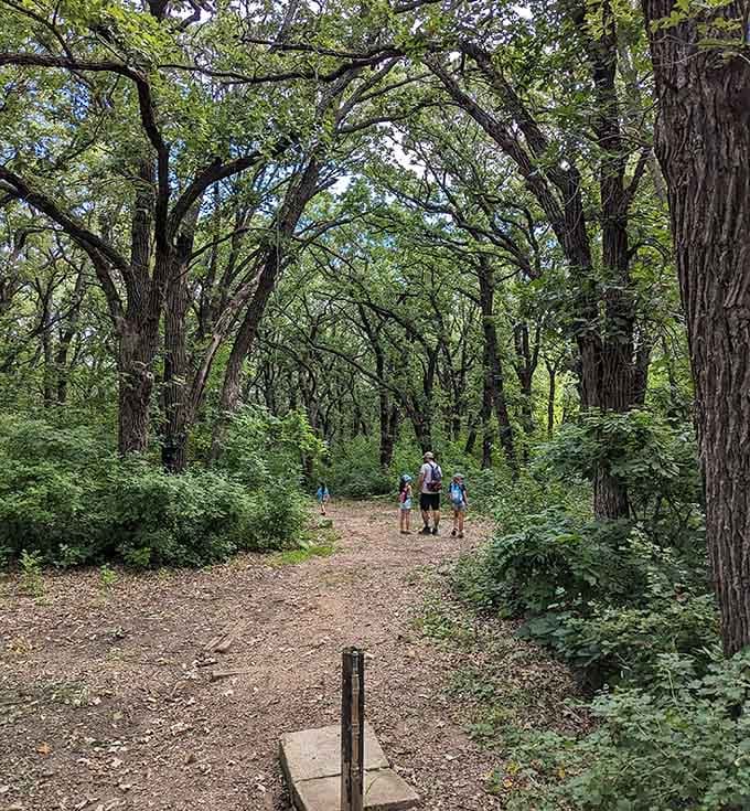 This trail winds through trees like it's taking the scenic route on purpose, which honestly is the whole point of being here.
