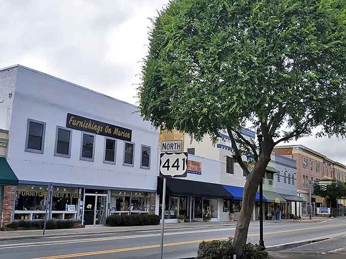 Downtown Lake City along Highway 441 offers that increasingly rare combination &ndash; actual parking spaces and locally-owned shops where browsing isn't a contact sport.