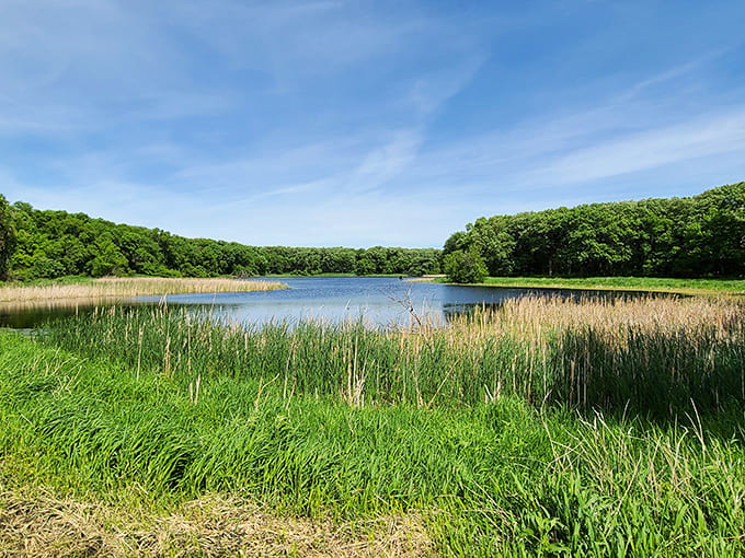 Wetlands and prairies meeting at the water's edge create the kind of diverse habitat that makes wildlife biologists get genuinely excited about their jobs.