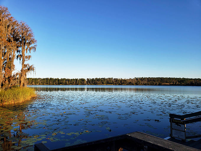 Mirror, mirror on the lake &ndash; who's the fairest reflection maker? Lake Louisa's glassy waters turn cloud-watching into a double feature.