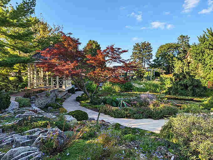 Nature's geometry lesson: perfectly trimmed hedges create living sculptures that would make any mathematician swoon.