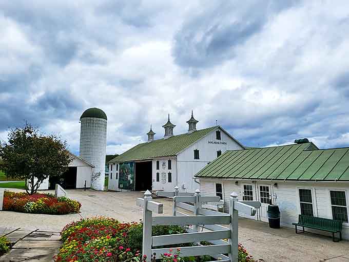The iconic white barn with its distinctive green roof stands proudly against the Ohio sky, a testament to agricultural heritage.