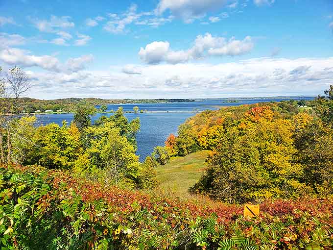 Mother Nature showing off again! The autumn colors at Maplewood transform the landscape into a painter's dream of golden hues.
