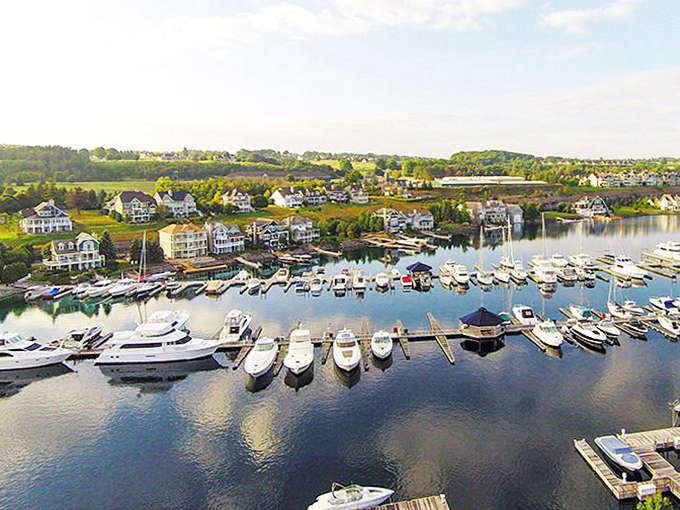 Marina life in full swing &ndash; where boats bob like patient horses waiting for their riders to return from town.