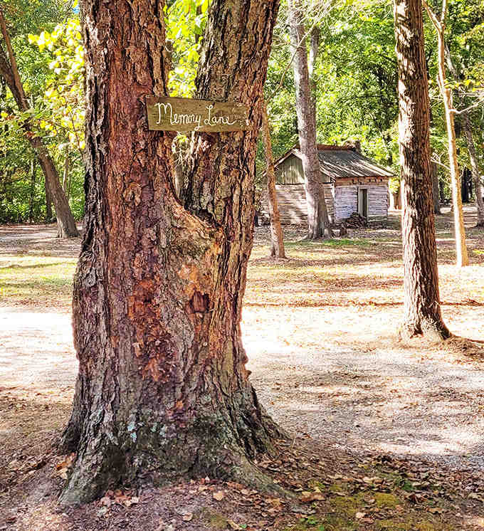 "Memory Lane" isn't just a metaphor here &ndash; it's an actual path guiding visitors through history, marked by a charming handcrafted sign.