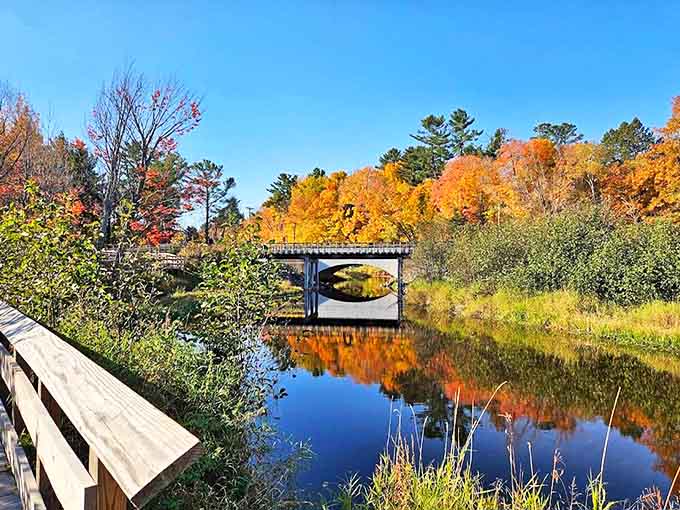 Nara Nature Park: Where mirror-like waters double the fall spectacle, creating a reflection so perfect you'll wonder which way is up.