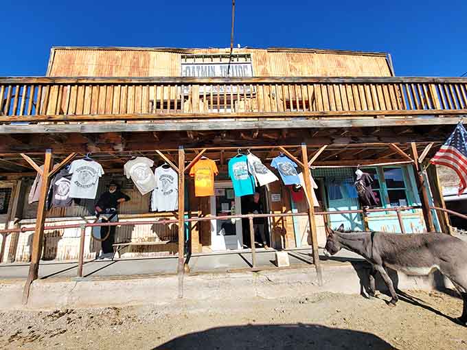 The old theater building stands as a weathered reminder of when Oatman's entertainment options didn't require electricity or streaming subscriptions.