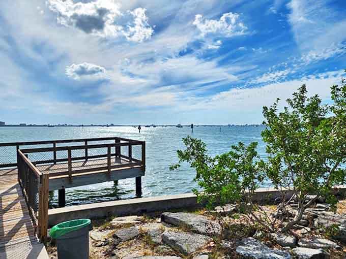 The observation deck offers front-row seats to nature's daily performance &ndash; pelicans dive-bombing for lunch while the bay sparkles like scattered diamonds.
