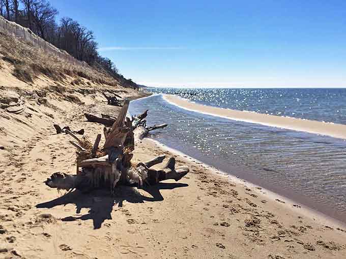 This beachfront stretches like nature's own red carpet, except golden and way more welcoming than any Hollywood premiere.