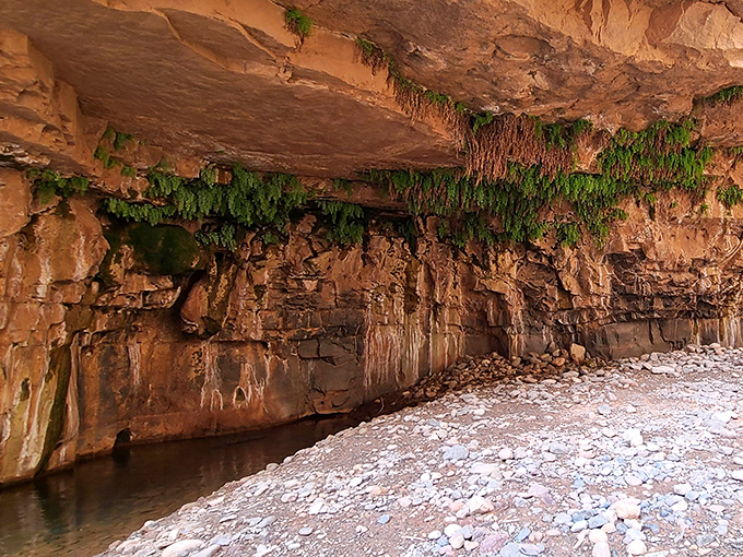 Mother Nature's ceiling: Vibrant green moss clings to the underside of this massive rock overhang, creating a living canopy above the creek bed.