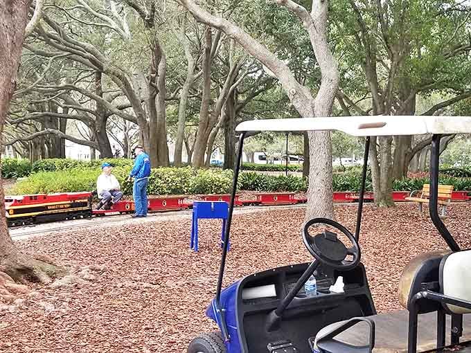 Passengers enjoy a leisurely ride through Largo Central Park's shaded pathways, where Florida's natural beauty frames the miniature railway adventure.