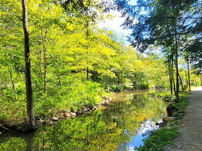 This tranquil pathway invites wanderers to lose themselves in Vermont's lush greenery, where every turn reveals nature's quiet masterpieces.