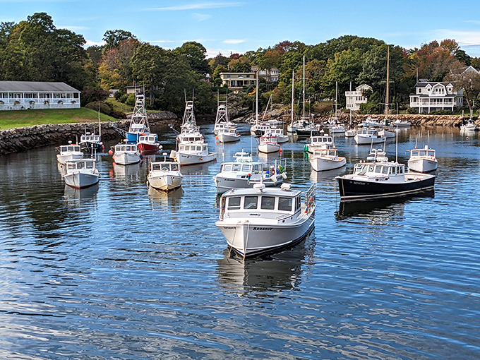 Weathered lobster boats bob gently in Perkins Cove, their colorful buoys telling stories of generations at sea.