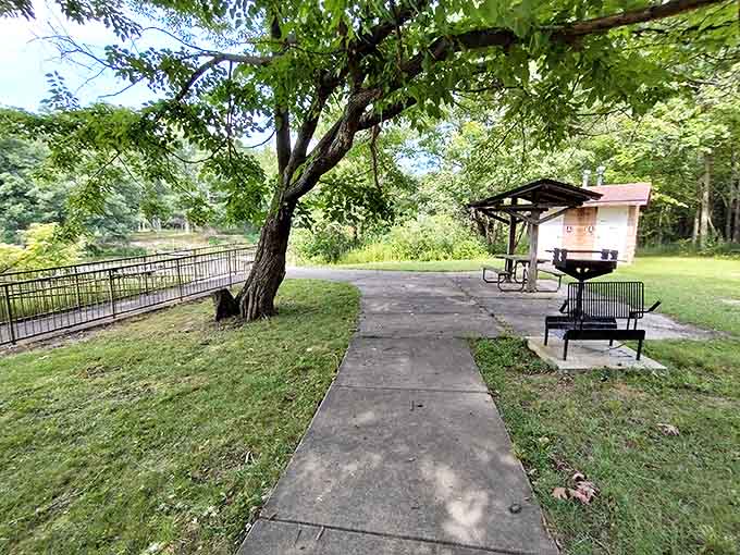 Where burgers taste better and family memories get made, one perfectly grilled hot dog at a time under the shade of ancient trees.