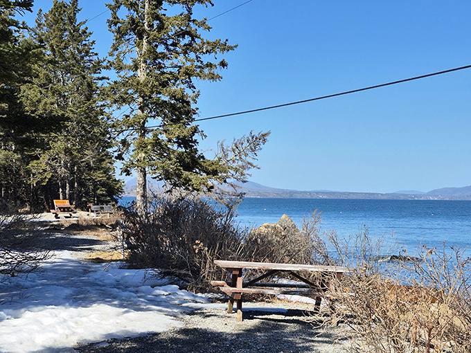Winter reveals another side of Damariscotta Lake, where snow-dusted shores meet crystal waters. A peaceful bench awaits contemplative visitors year-round.