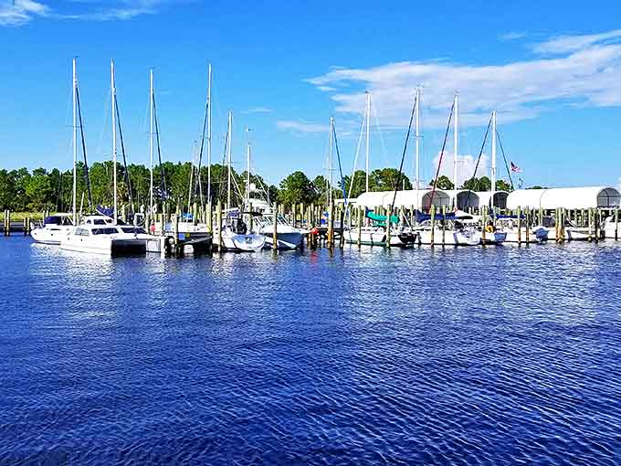 Point South Marina's sailboats stand tall against the blue Florida sky, like elegant dancers waiting for their Gulf waltz.