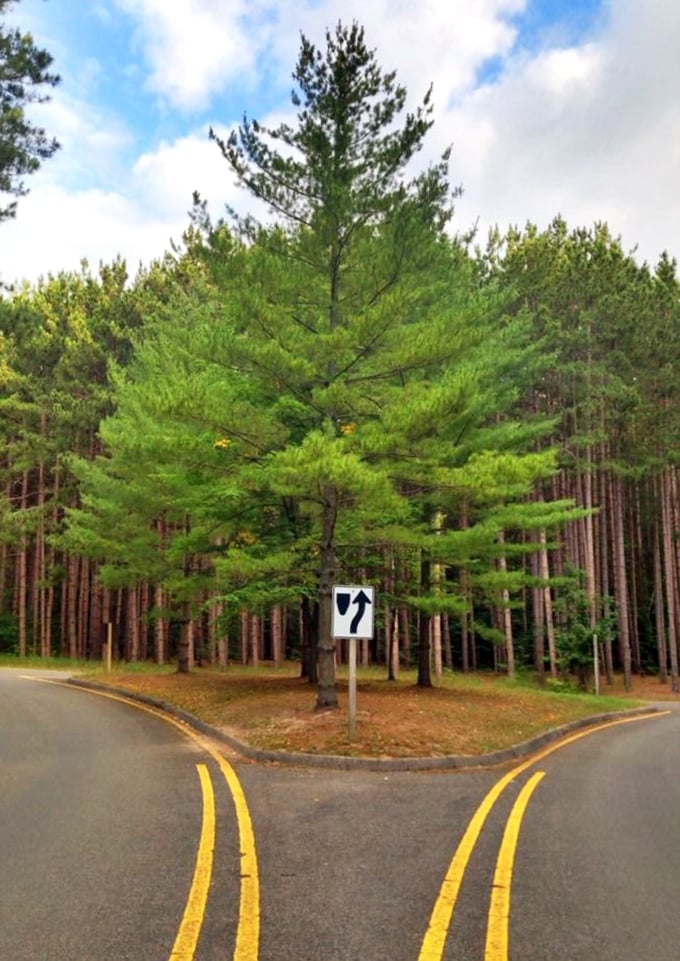 Where two roads diverge in a yellow wood, take the one with the directional sign &ndash; it leads to views that'll make your heart skip several beats.