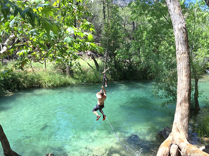 Tarzan dreams come true! A visitor takes the plunge from a rope swing into Fossil Creek's refreshing waters &ndash; summer's ultimate thrill ride.